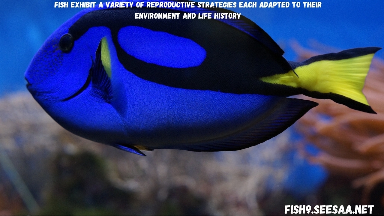 The Science of Fish Reproduction.: The Fish Basket