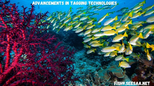 Innovations in Fish Tracking and Monitoring Technologies.: The Fish Basket