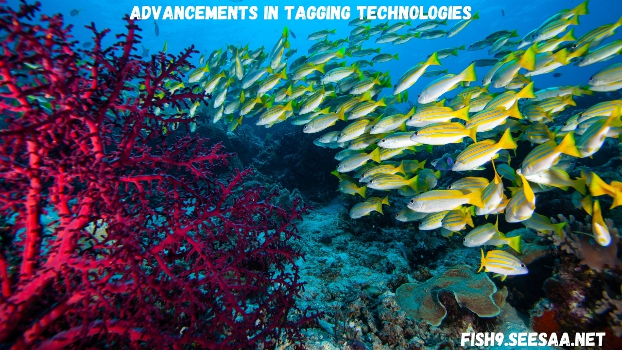 Innovations in Fish Tracking and Monitoring Technologies.: The Fish Basket